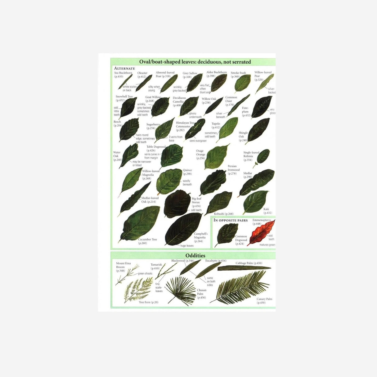 Collins Tree Guide: The Most Complete Field Guide to the Trees of Brit ...