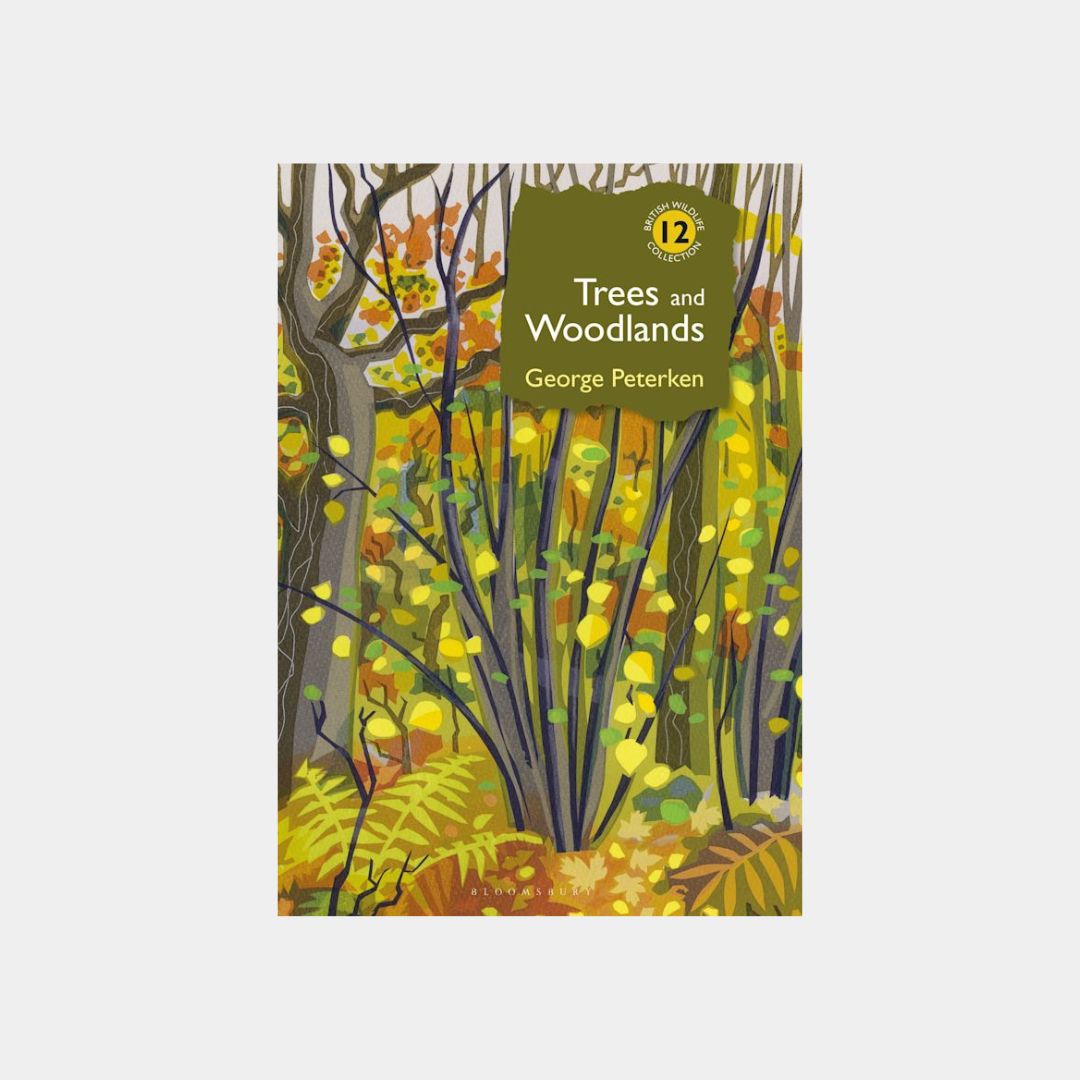 Trees and Woodlands – From Trees